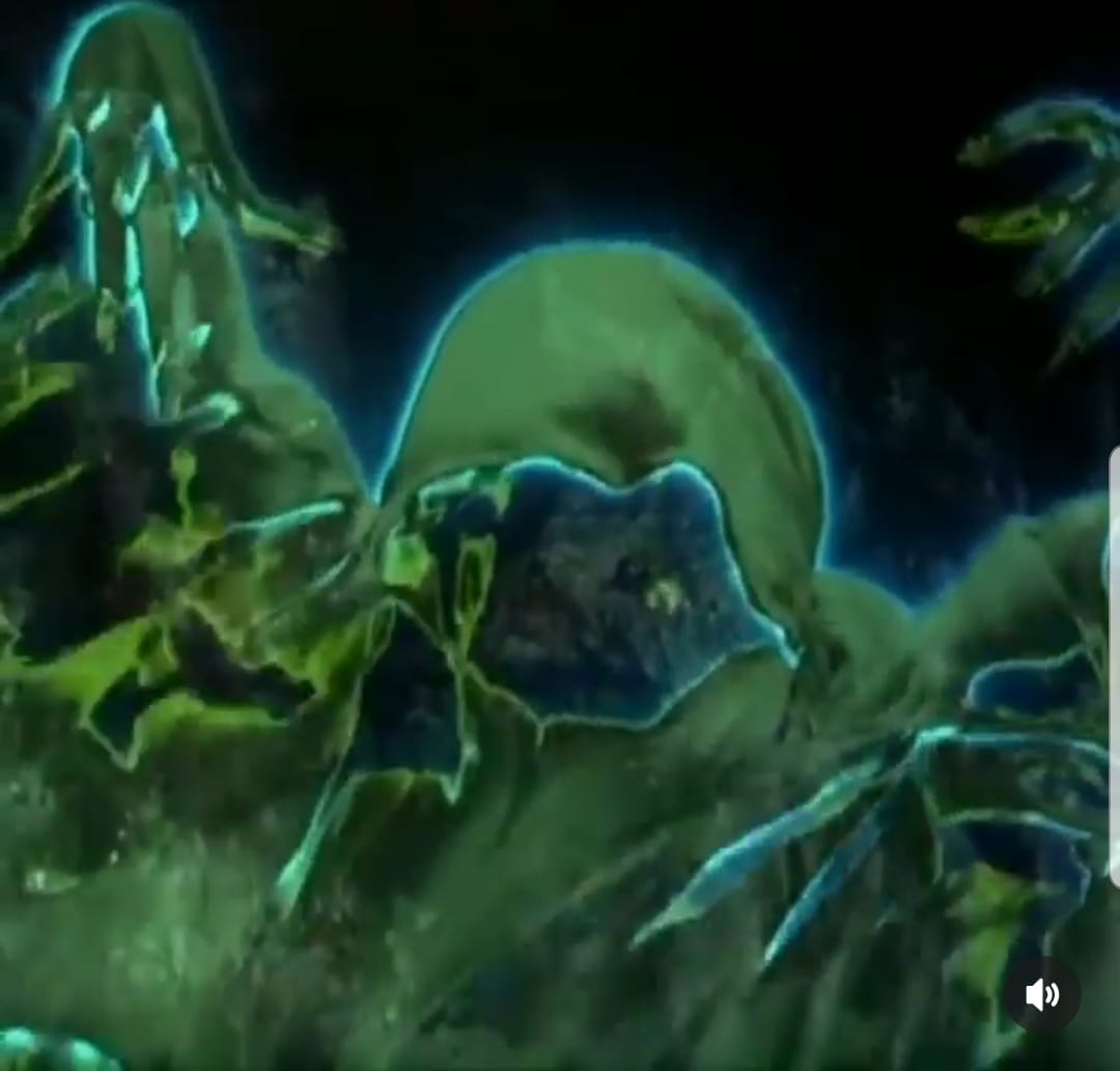 Forgotten Villains: The Banshee from Darby O’Gill – The Time Warriors ...