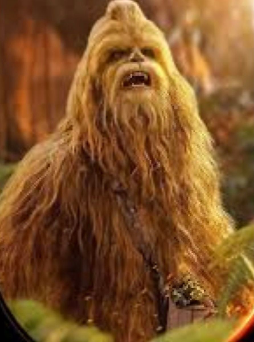 A Wookie Wasted: The Sad Tale of Kelnacca – The Time Warriors and Beyond